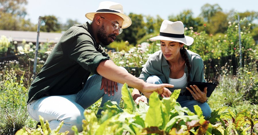 Loi d’orientation du 24 mars 2025 - ChloroFil.fr