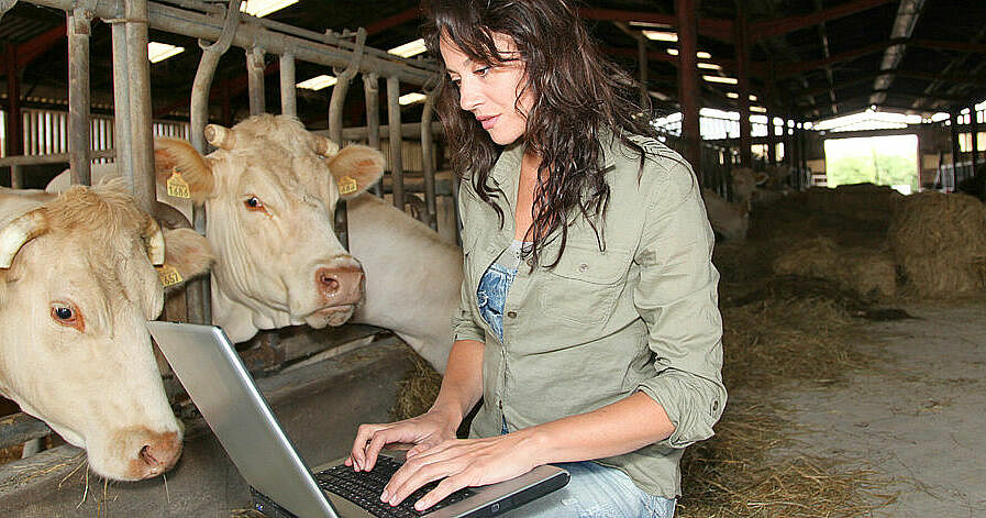 INRAtion pour faire un diagnostic - ChloroFil.fr