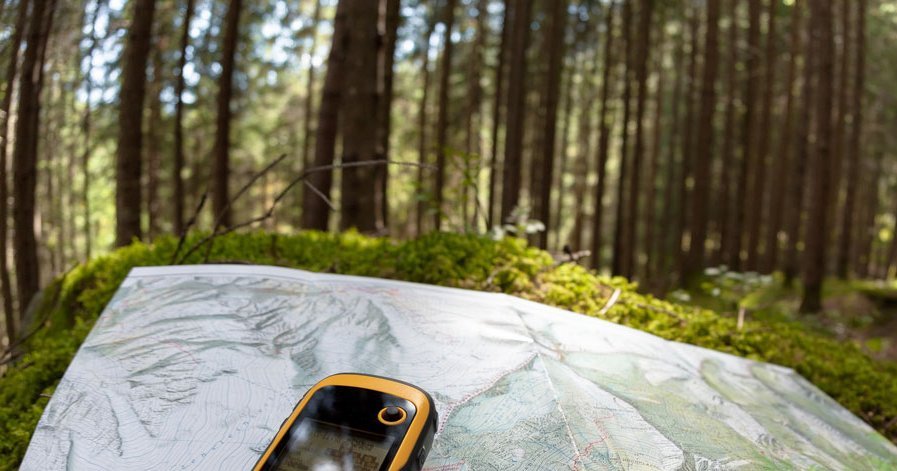 La télédétection en forêt pour le suivi des peuplements - ChloroFil.fr